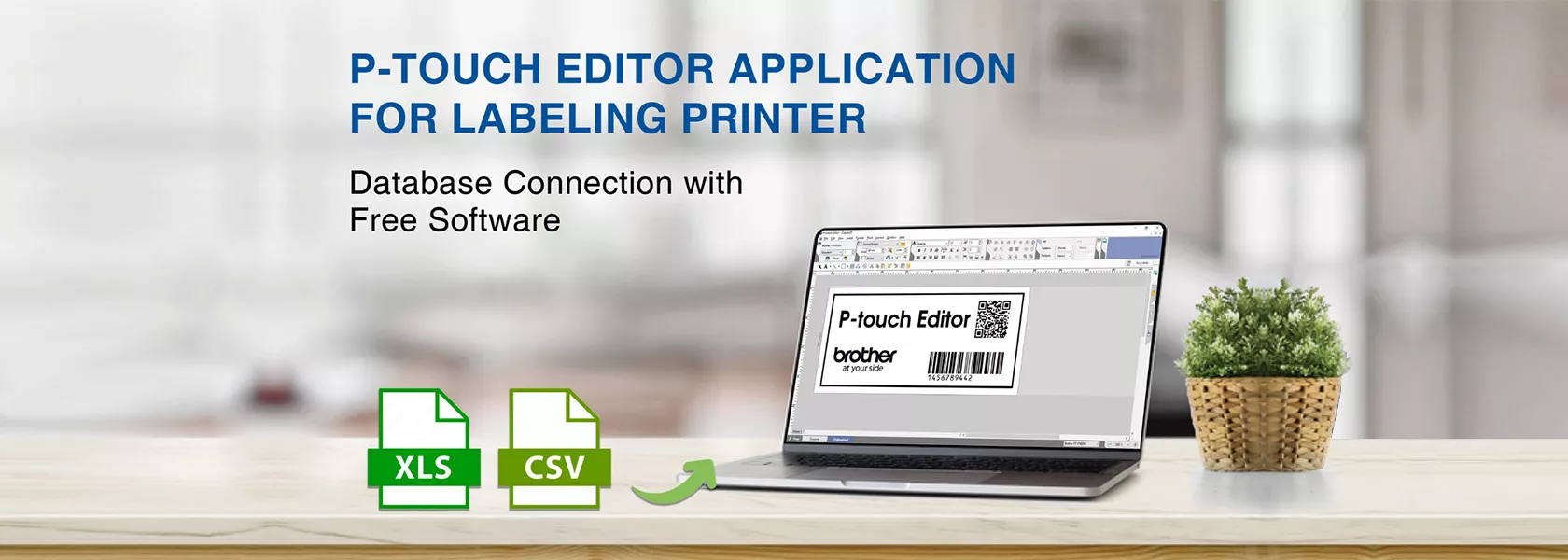 Asset Management | Brother Singapore